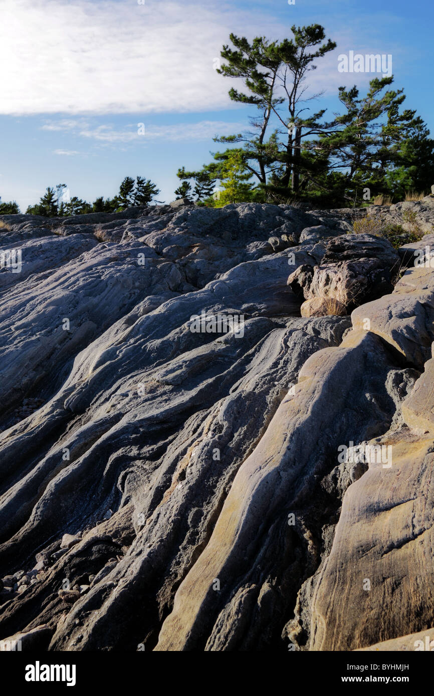 Pine on dramatic rock formation in Georgian Bay Stock Photo - Alamy