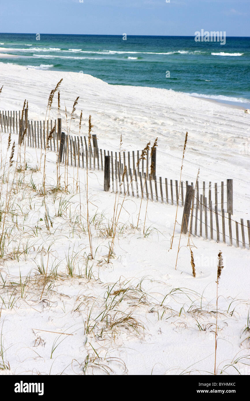 Sand fences criss-cross along the beach which help capture sand and ...