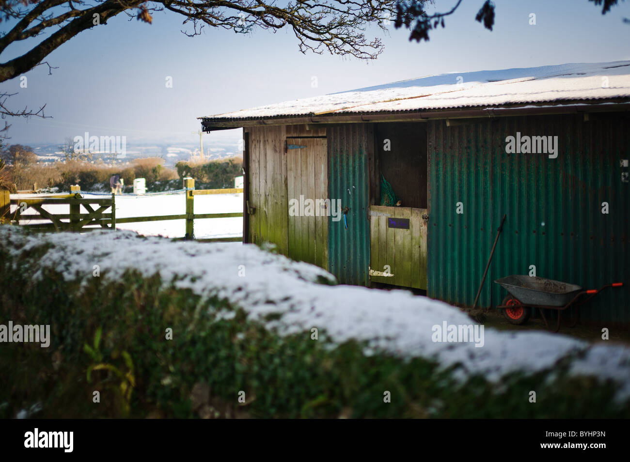 Robin winter scene hi-res stock photography and images - Alamy