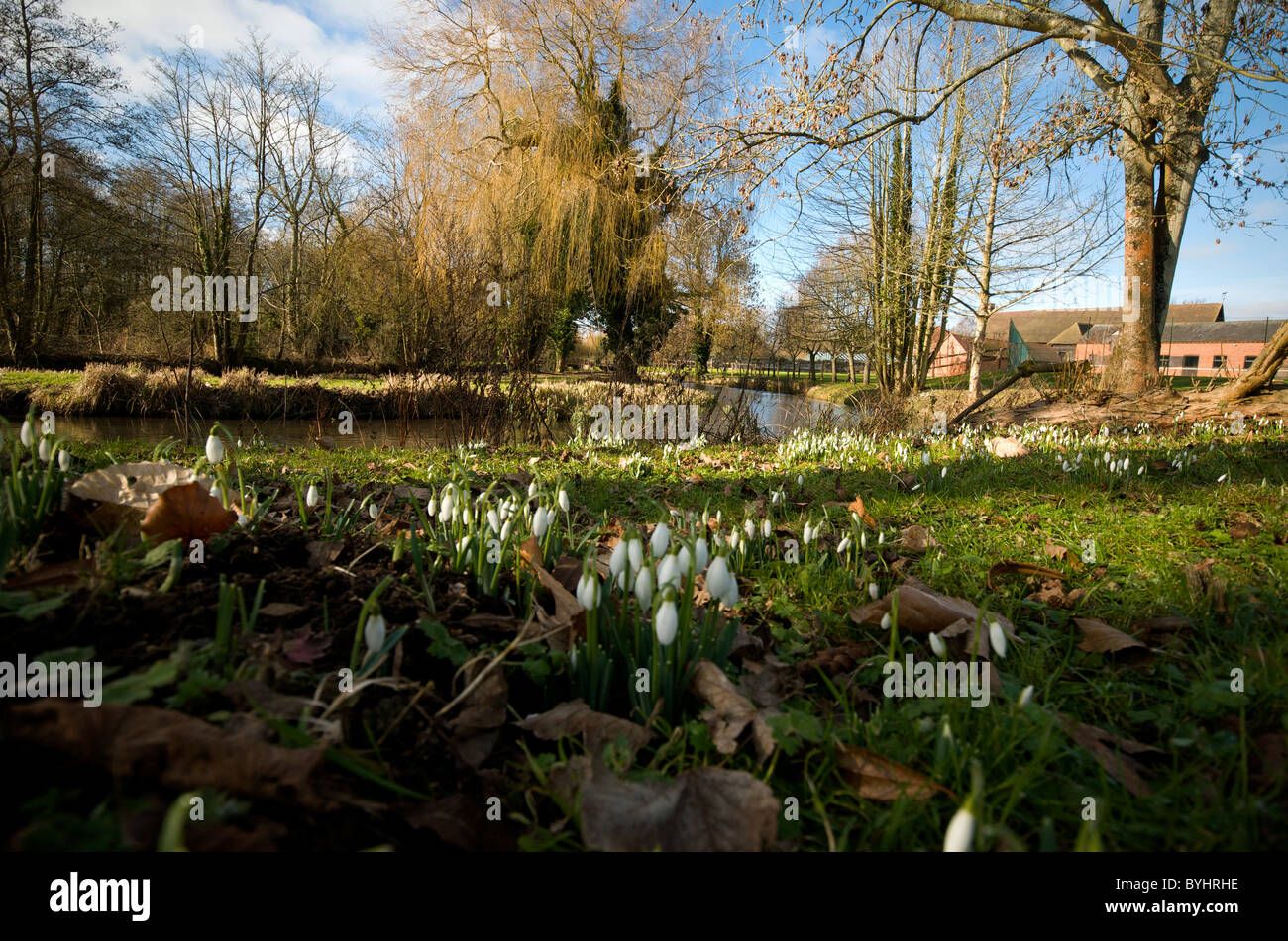 Avington Church Berkshire UK Stock Photo - Alamy