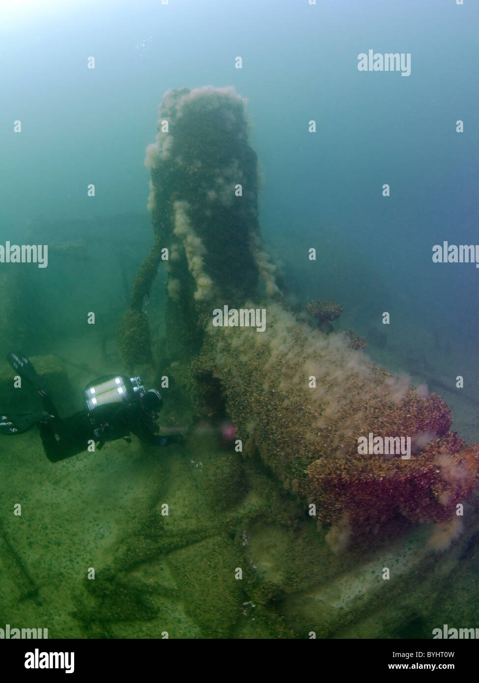 Wreckship steamship transport hi-res stock photography and images - Alamy