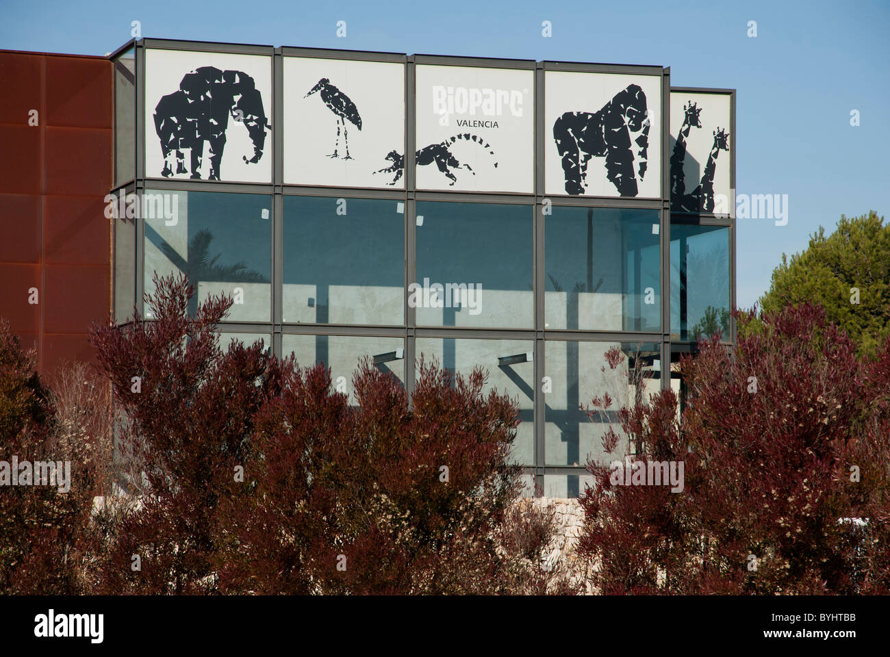 Bioparc Valencia spain zoo animals biopark Stock Photo - Alamy