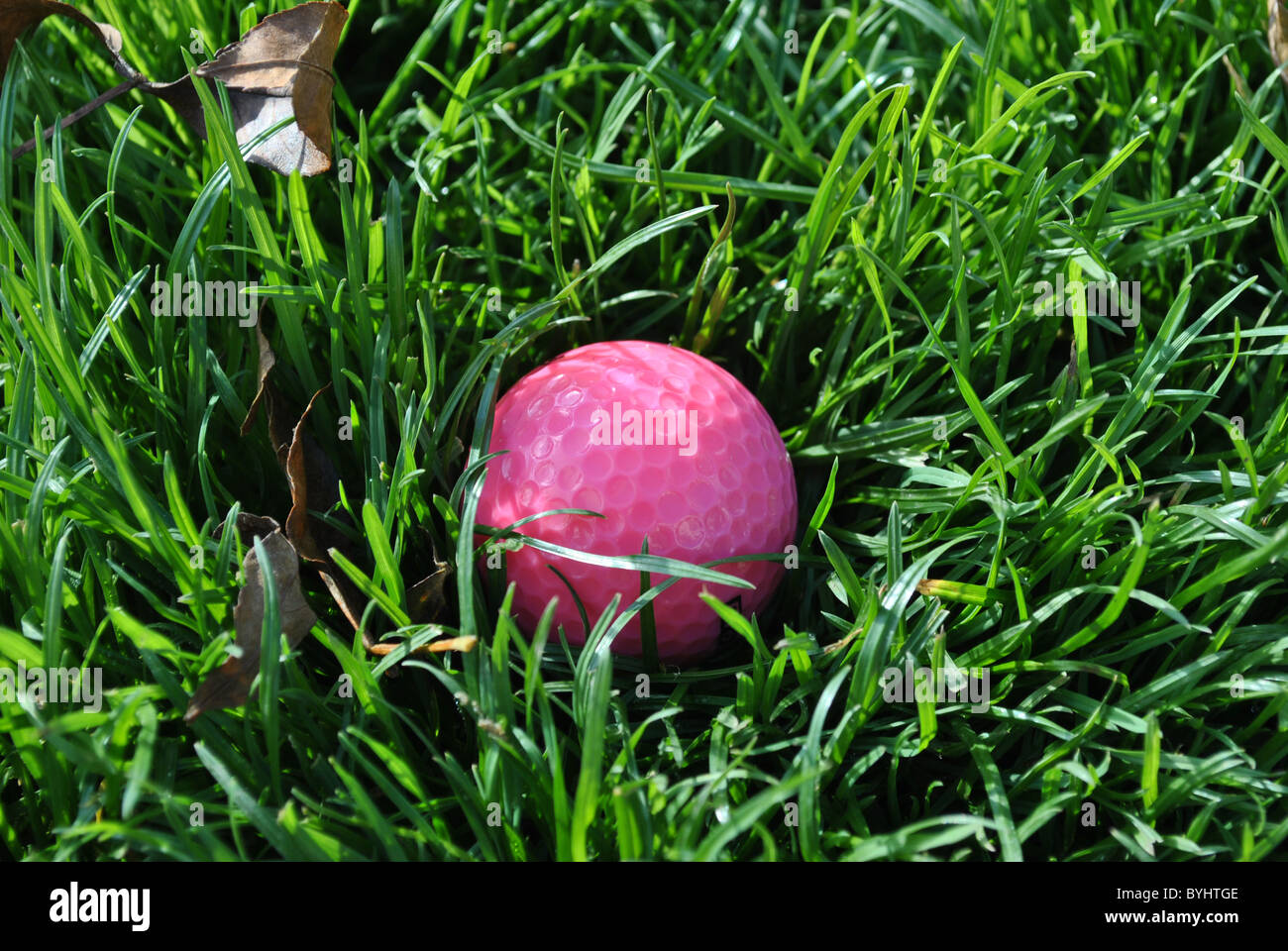 Golfer in rough hi-res stock photography and images - Alamy