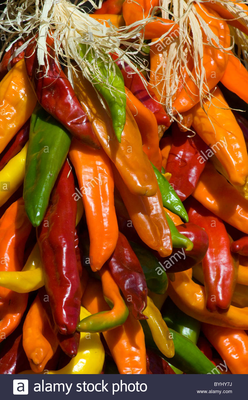 Chili Ristras Stock Photos & Chili Ristras Stock Images - Alamy