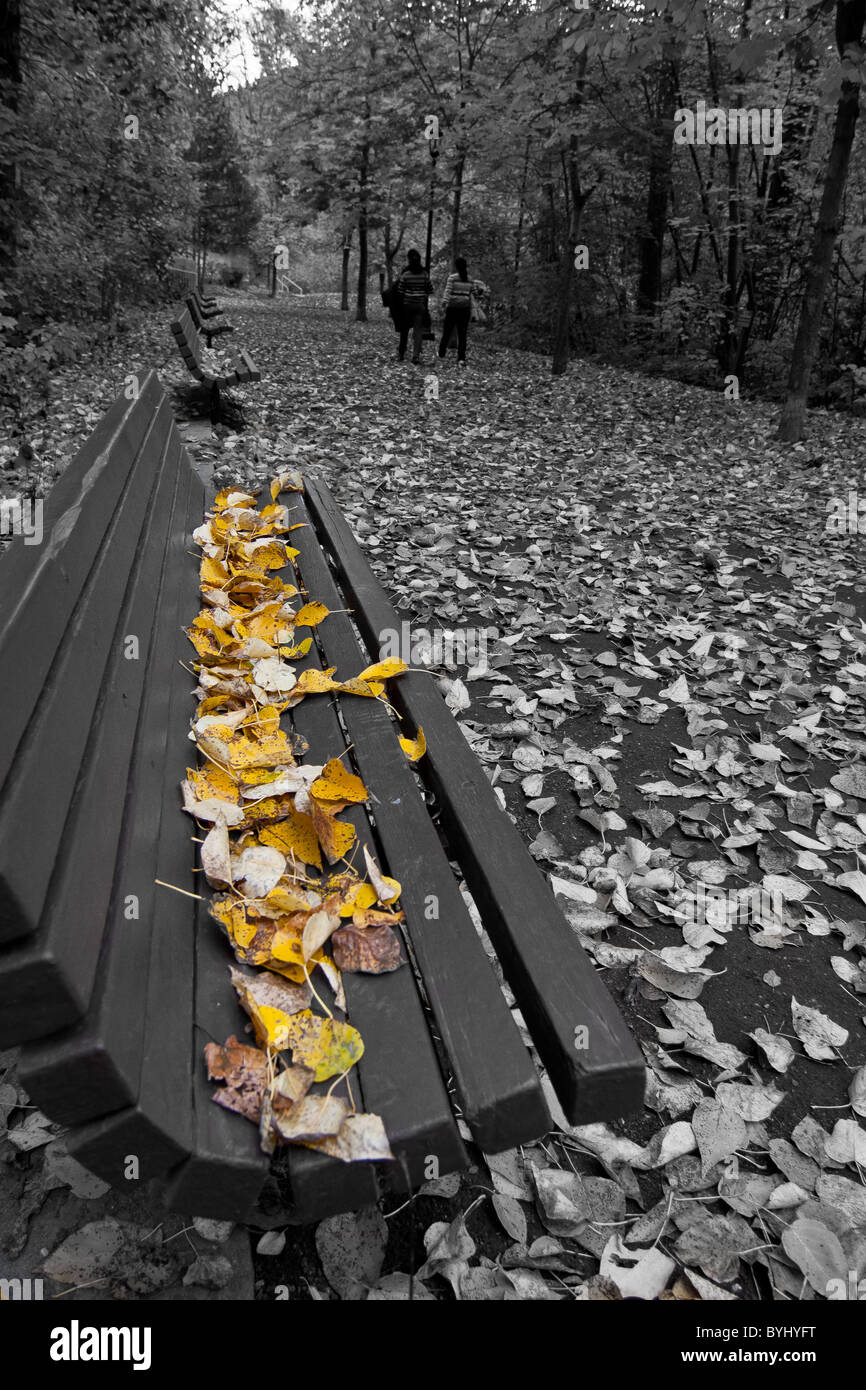 Fall leaves on park bench Stock Photo - Alamy