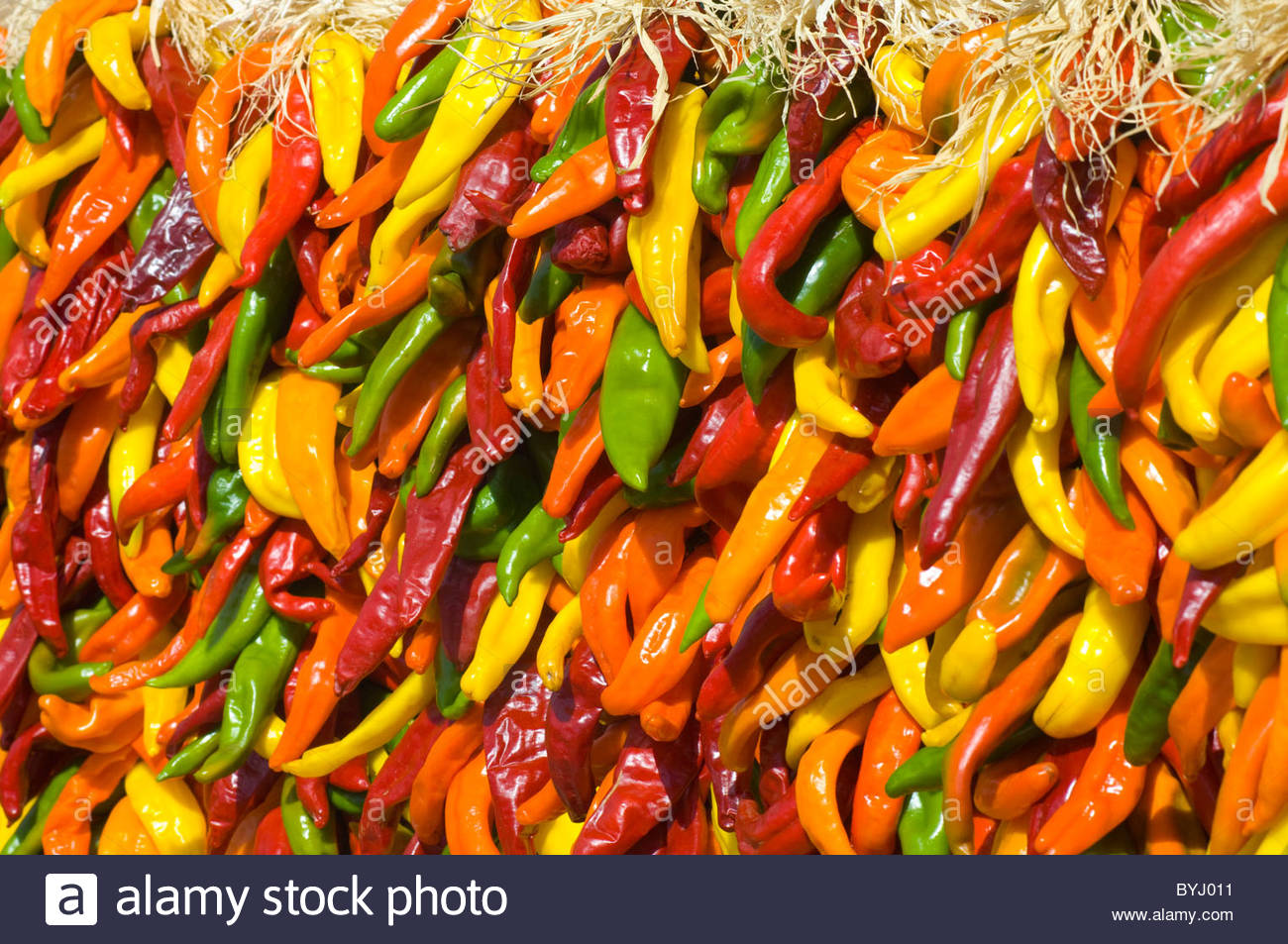 Chili Ristras Stock Photos & Chili Ristras Stock Images - Alamy