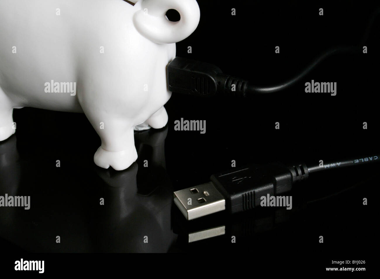USB Piggy Card Reader Feed this Pig with your flash cards and watch it ...
