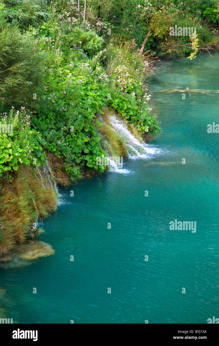 Beautiful landscape of a green lake Stock Photo - Alamy