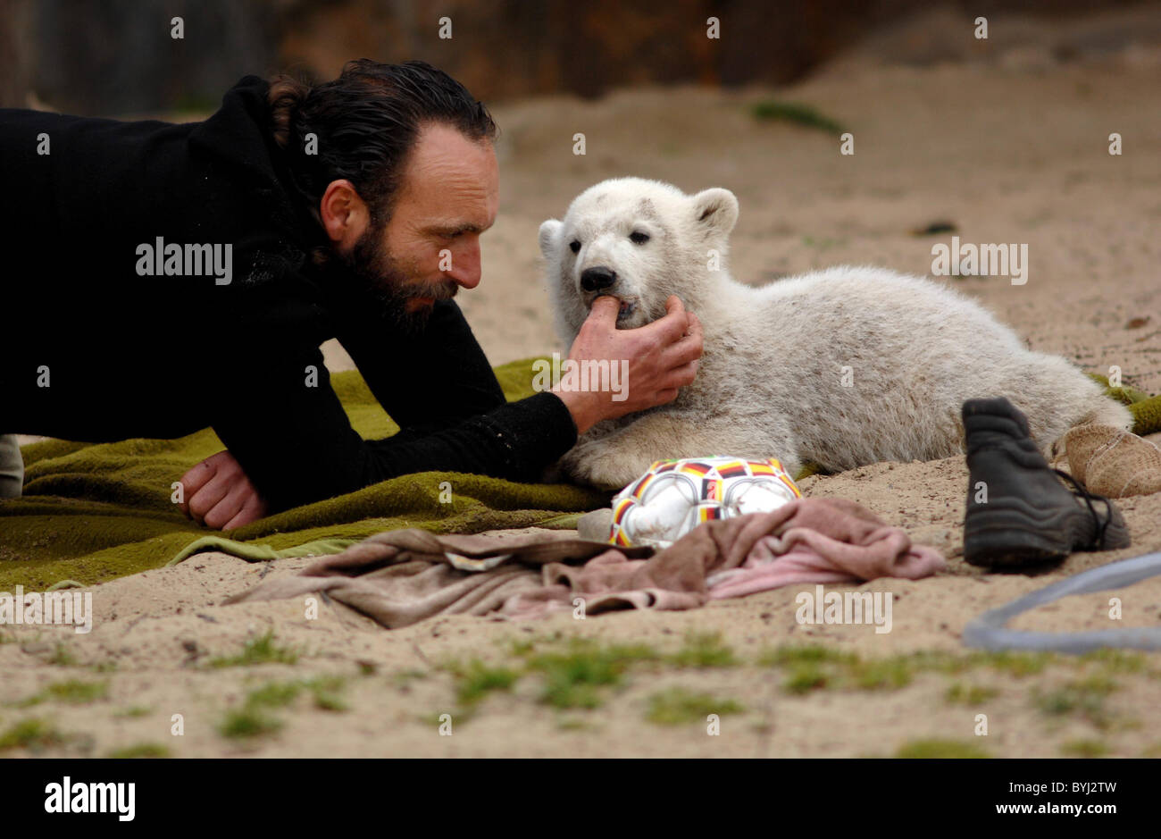 Polar bear cub Knut and Thomas Doerflein at the Zoo Berlin Berlin ...