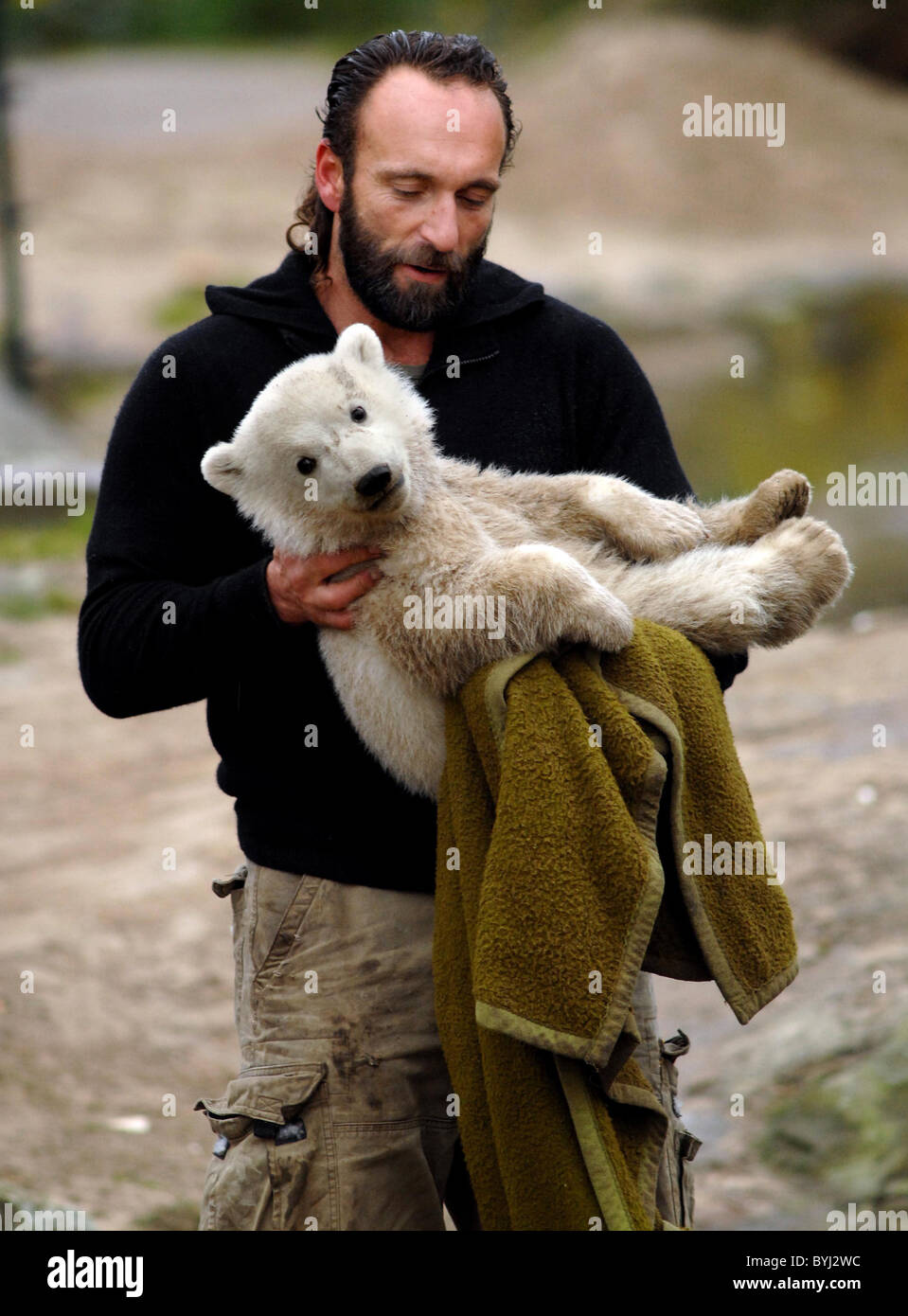 Polar bear cub Knut and Thomas Doerflein at the Zoo Berlin Berlin ...