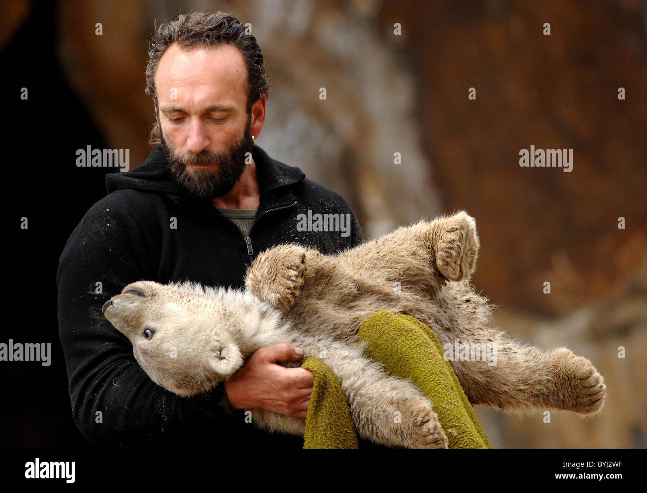 Polar bear cub Knut and Thomas Doerflein at the Zoo Berlin Berlin ...