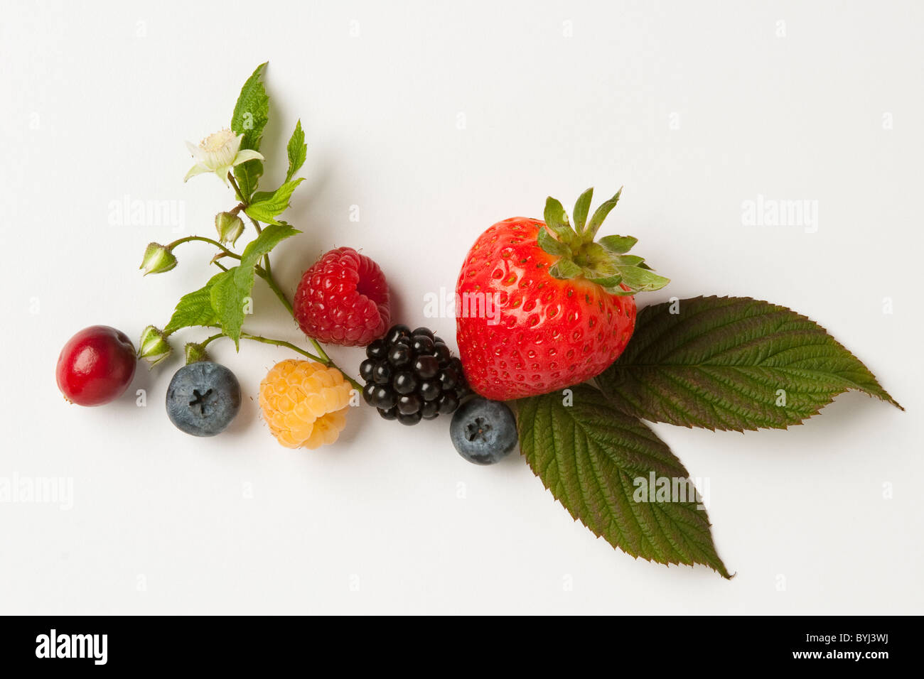 Food Stock Photos & Images from Alamy
