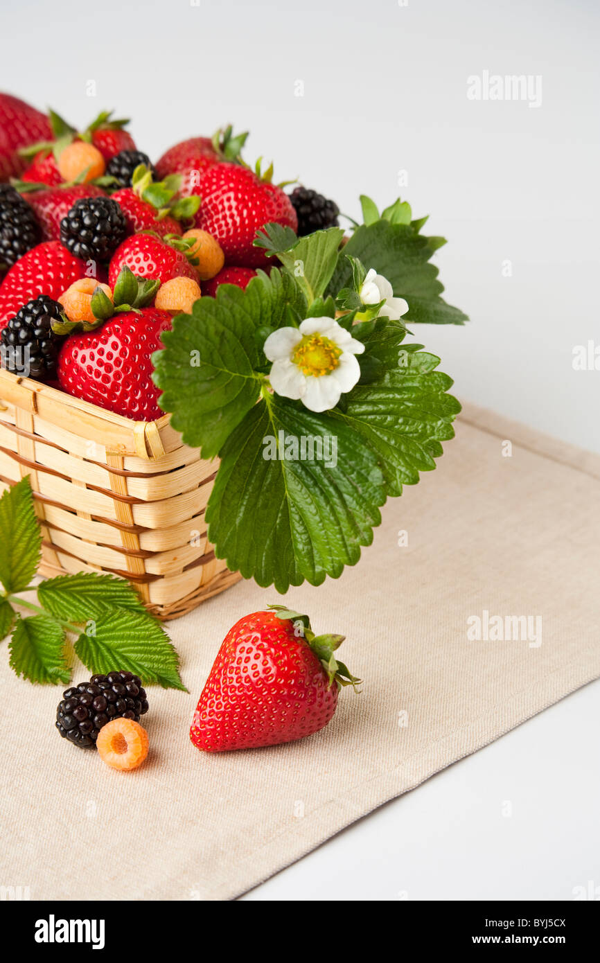 Agriculture - Mixed berries in a basket with leaves and a blossom; strawberries, golden ...