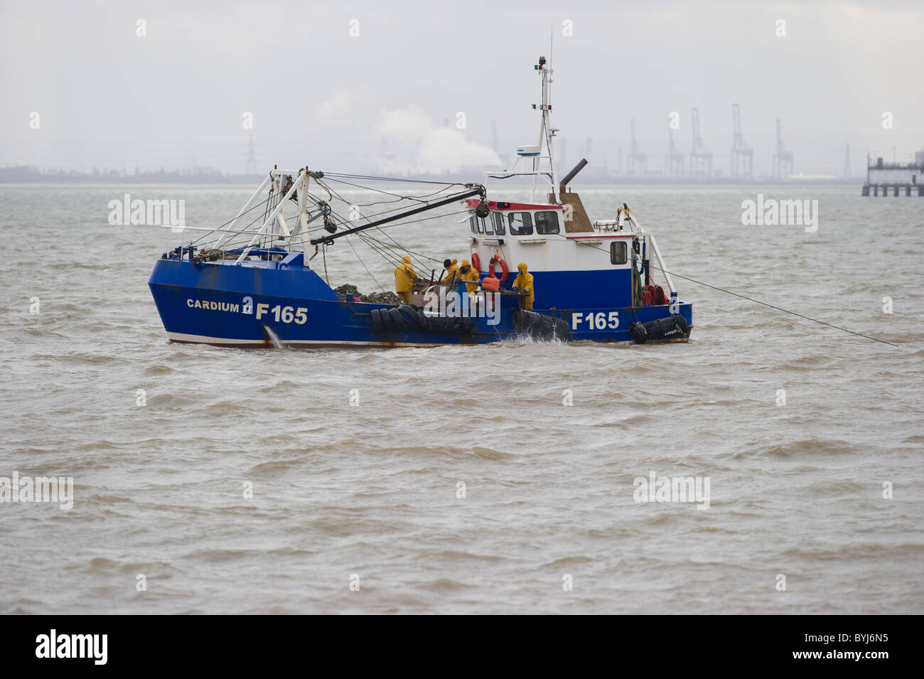 The Cardium II, a Whitstable based cockle dredger working boat just off ...