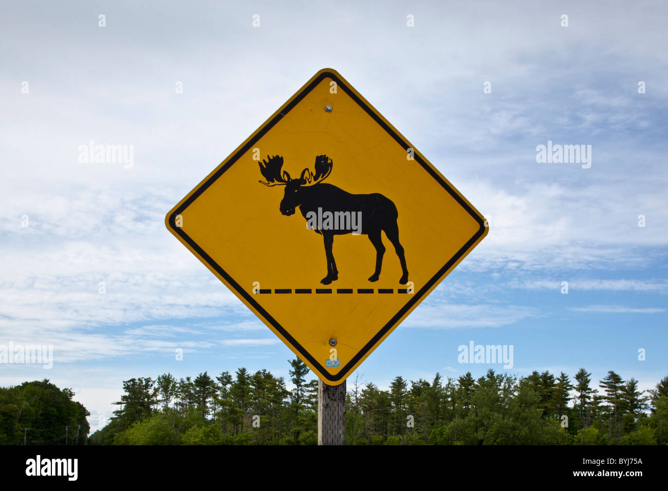 Moose crossing signs hi-res stock photography and images - Alamy