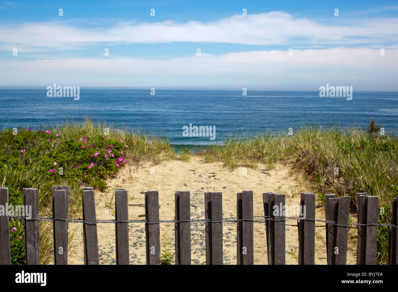 USA, Massachusetts, Cape Cod National Seashore, Cyclone fence along sand dunes by Atlantic Ocean ...
