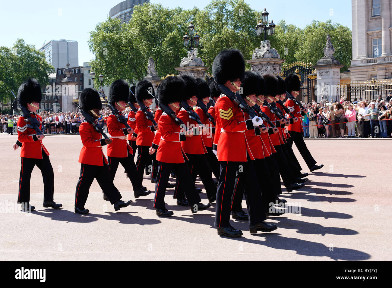 Royal Grenadier Guards Stock Photos & Royal Grenadier Guards Stock ...