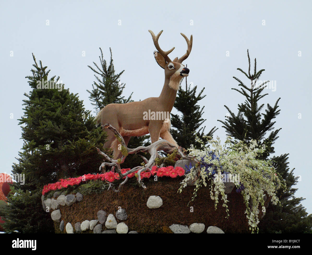 Parade float flowers pageant hi-res stock photography and images - Alamy