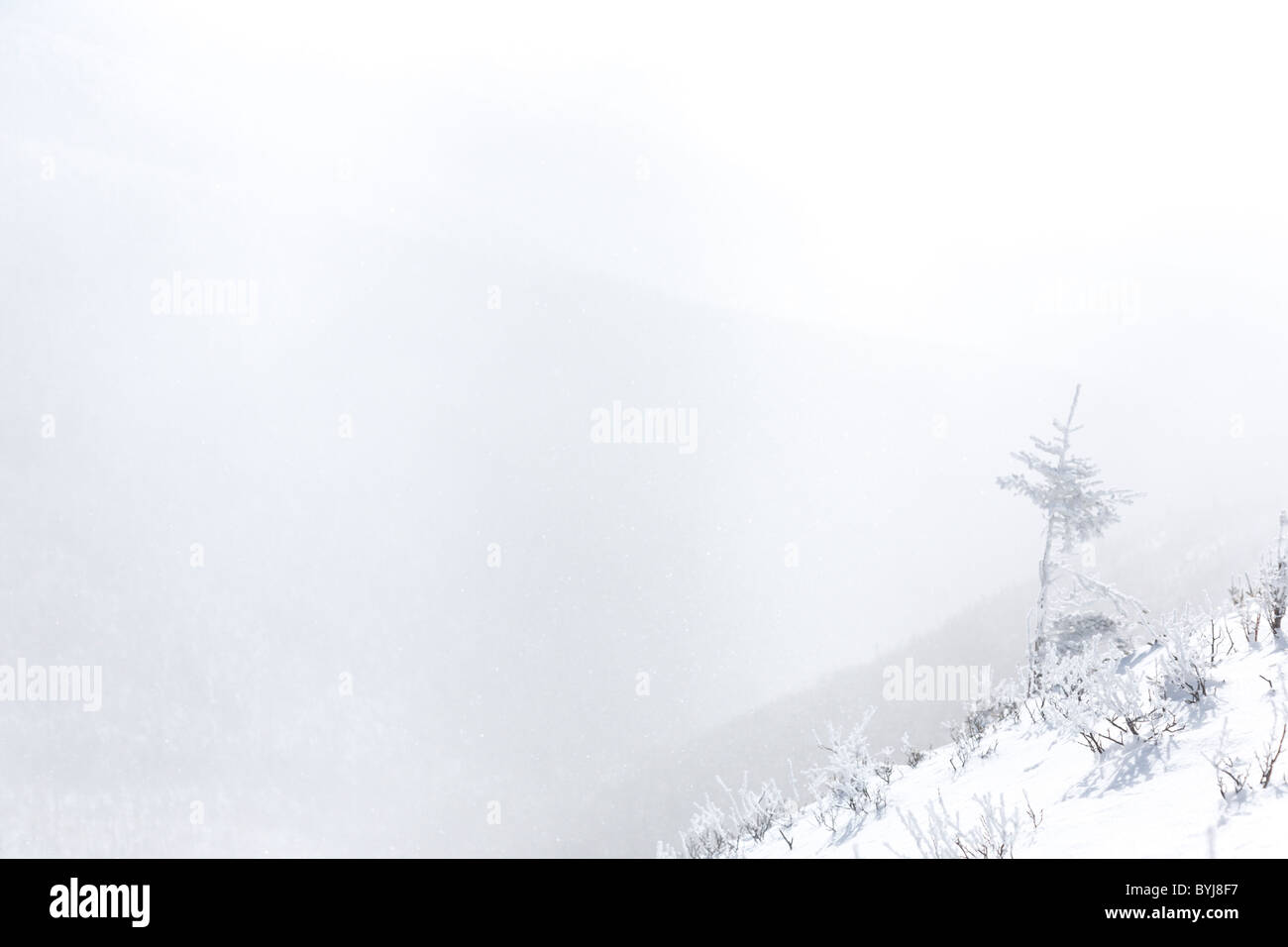 Whiteout weather hi-res stock photography and images - Alamy
