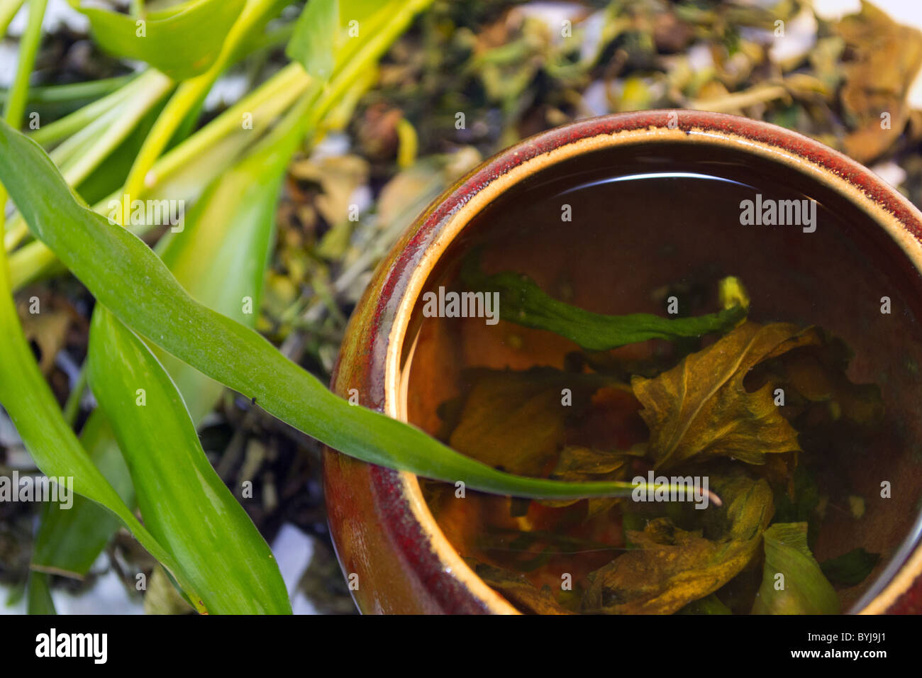 Traditional Asian Tea Cup Top View Stock Photo - Alamy