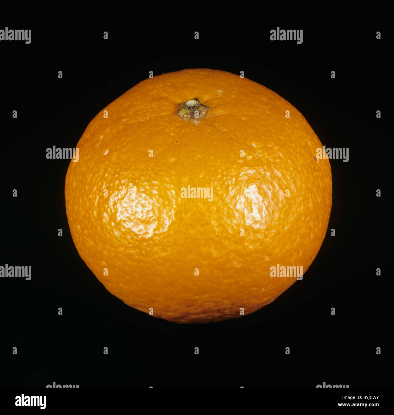 Citrus fruit mandarin nova hi-res stock photography and images - Alamy