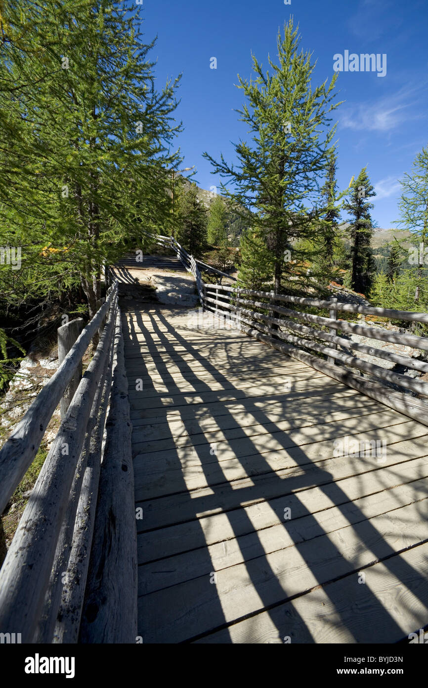 Timber bridge over the Plima river high in the Martell valley, Stelvio ...