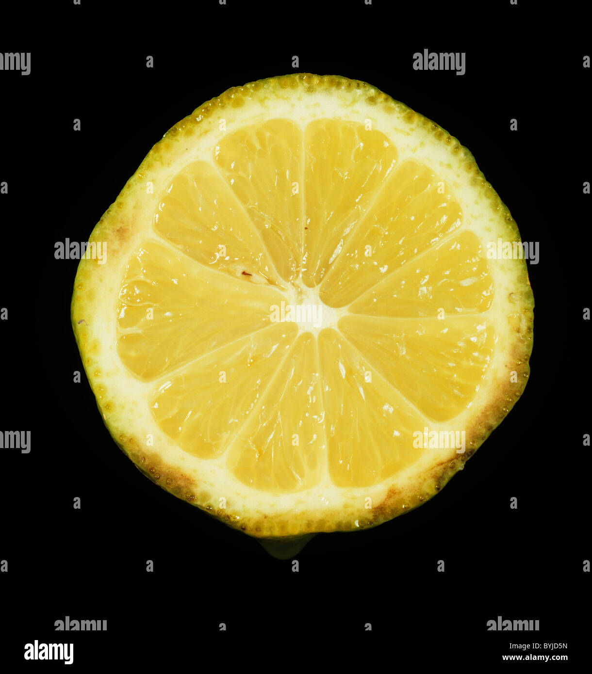 Cut section of a citrus fruit lemon variety Verdelli Stock Photo - Alamy