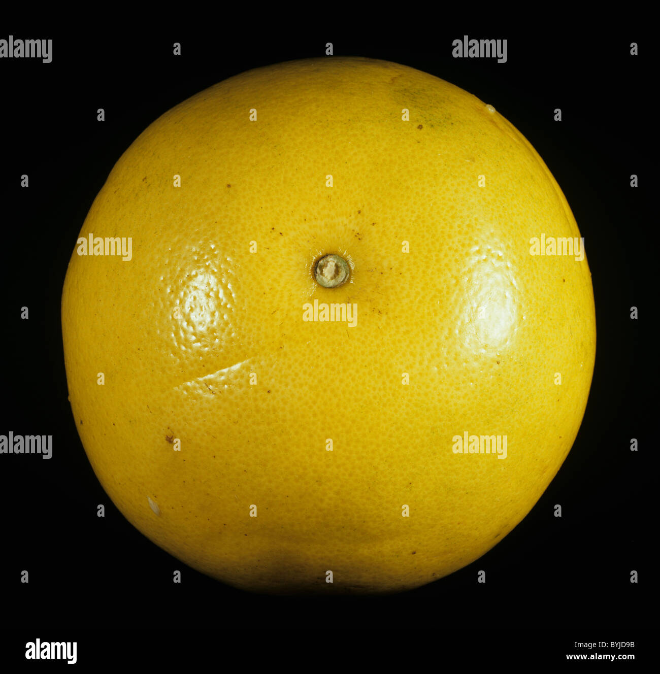 Duncan grapefruit hi-res stock photography and images - Alamy