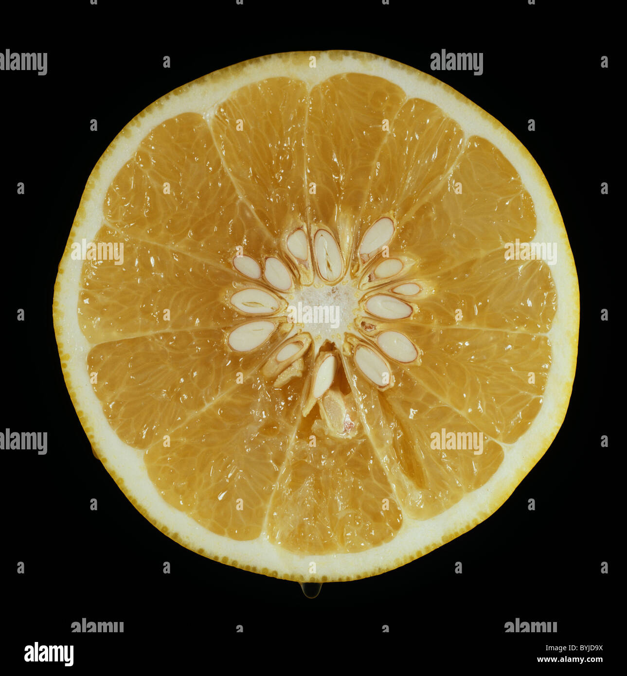 Grapefruit sectioned hi-res stock photography and images - Alamy