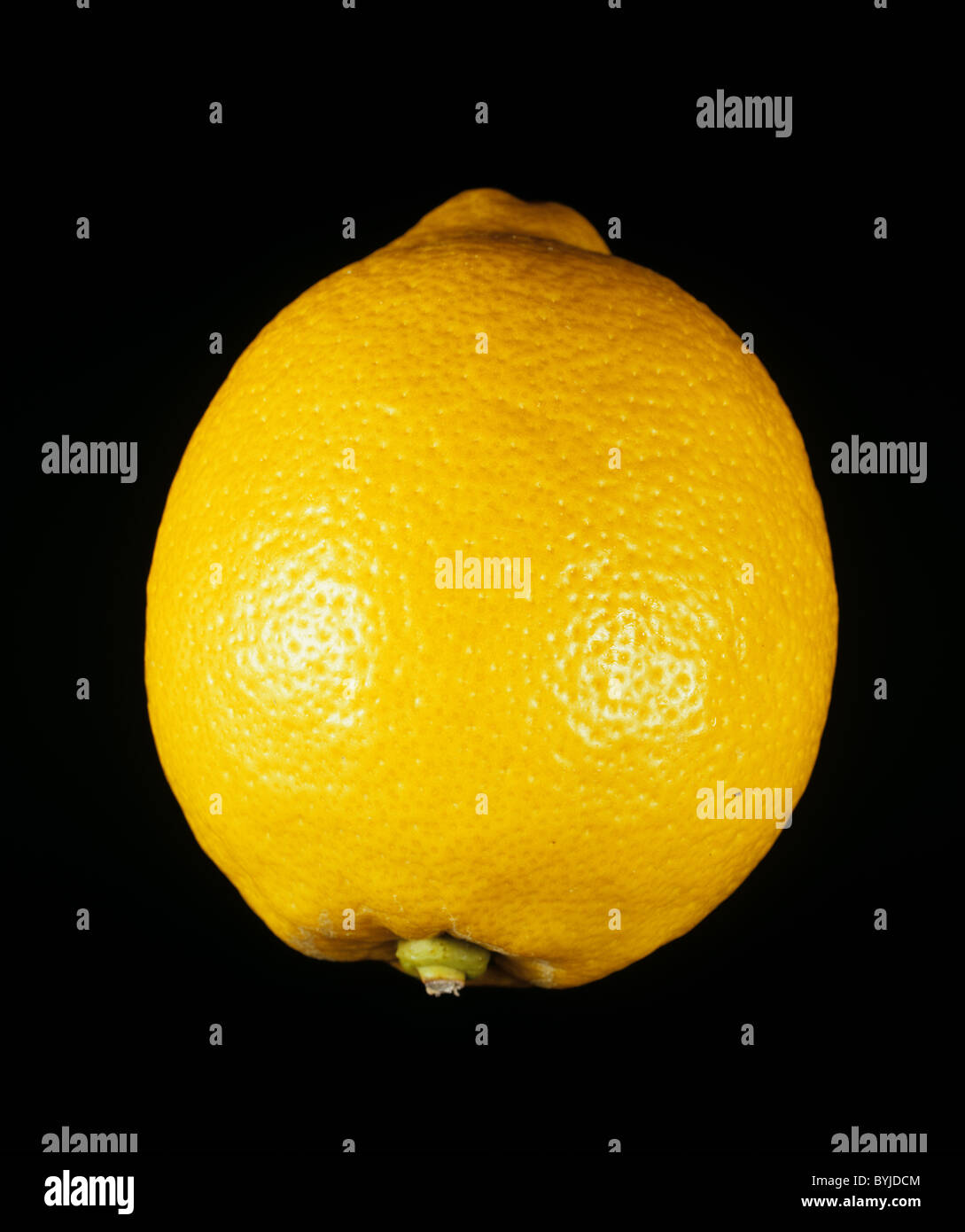 Whole citrus fruit lemon variety Lisbon Stock Photo - Alamy