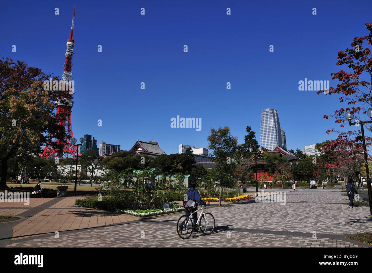 Shiba Park and Tokyo Tower Stock Photo - Alamy