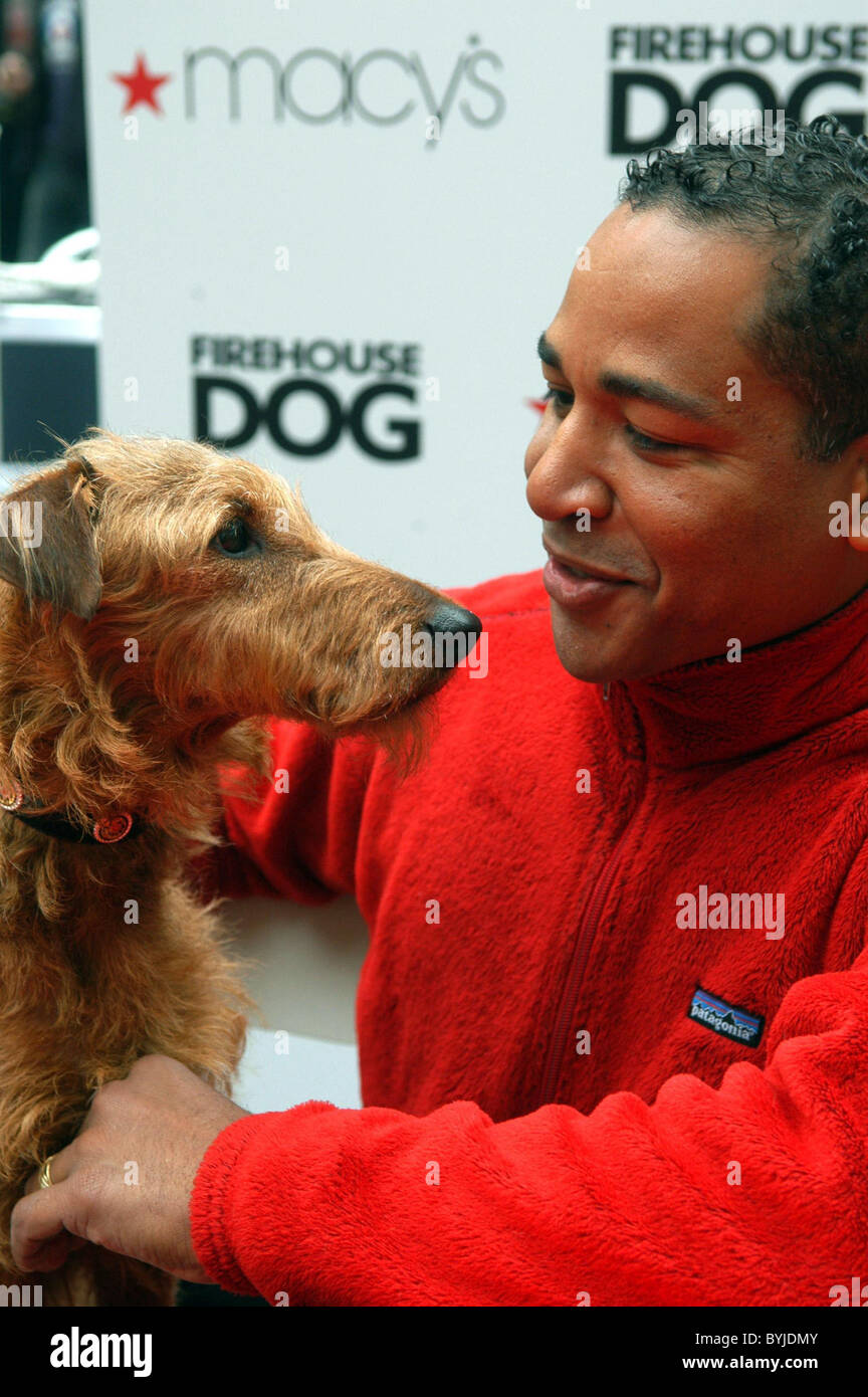 Firehouse dog hi-res stock photography and images - Alamy