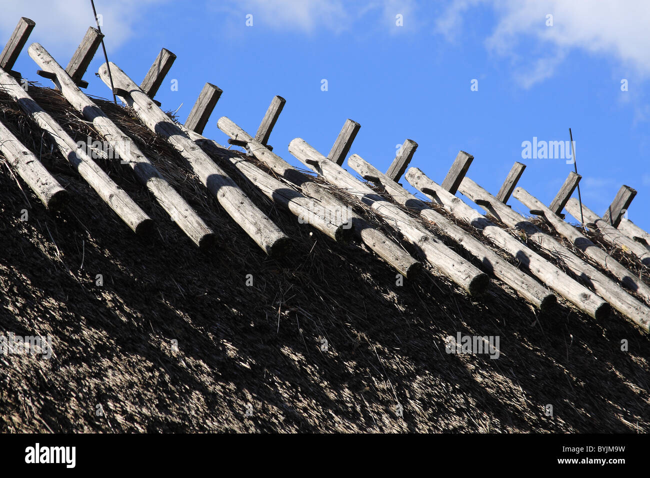 Thatched roof close-up Stock Photo - Alamy