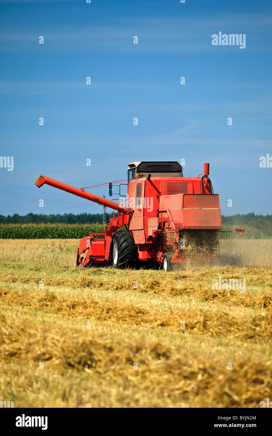 Red combine harvester working in a wheat field Stock Photo - Alamy