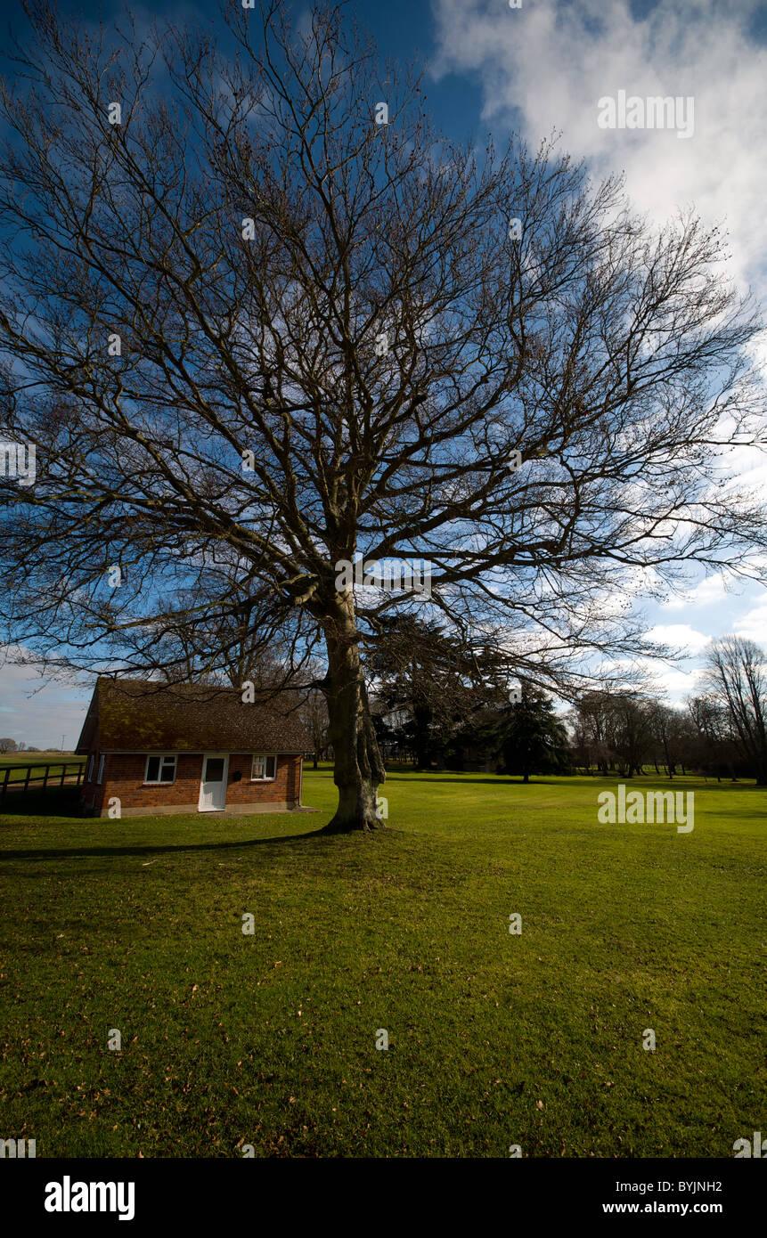 Avington Church Berkshire UK Stock Photo - Alamy