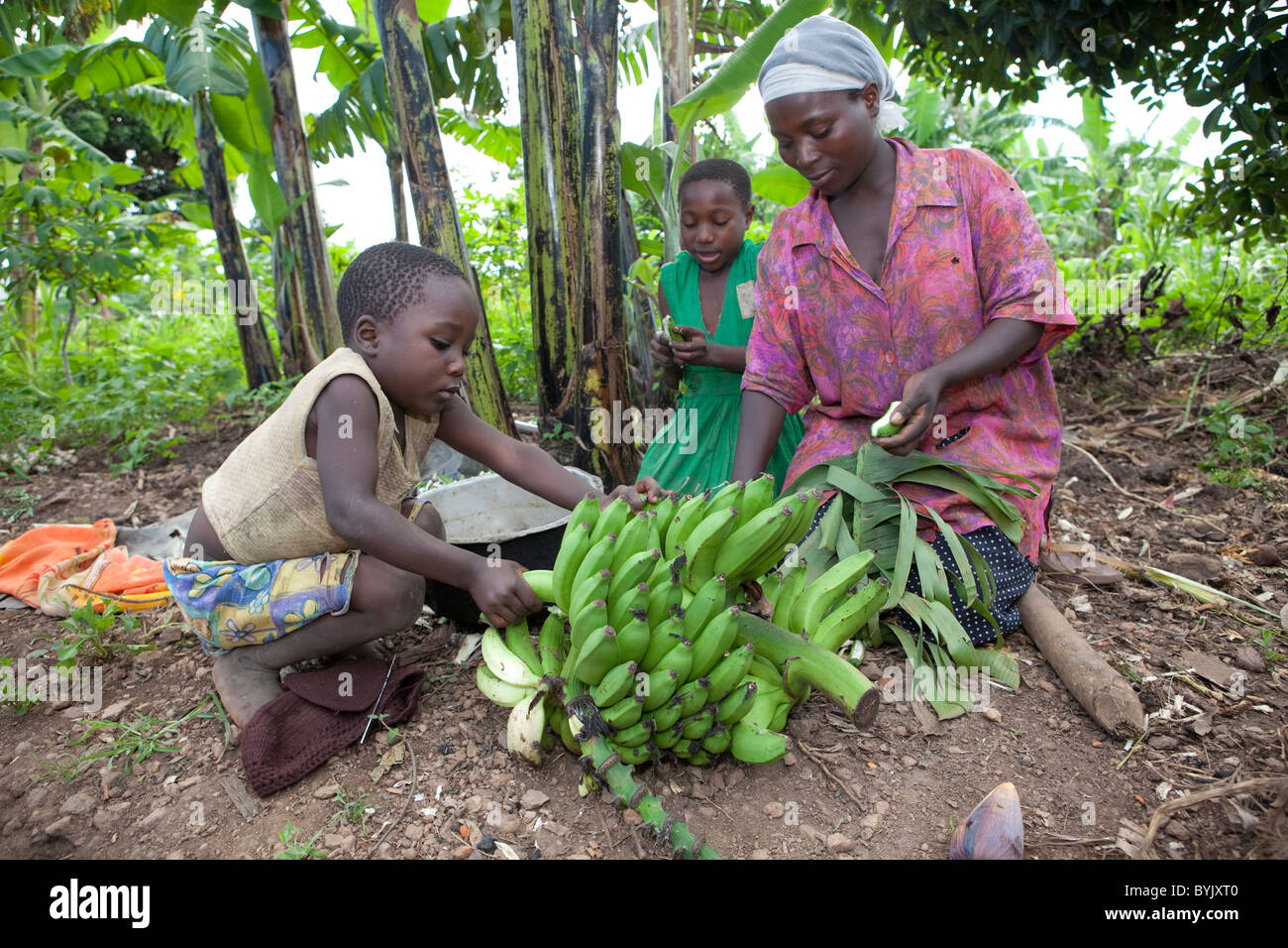 A woman cooks food with her family in rural Masaka, Uganda, East Africa ...