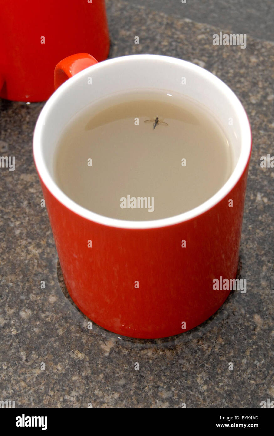 Pg Tips Tea-Total Event Pg tips demonstrates how much tea the average ...