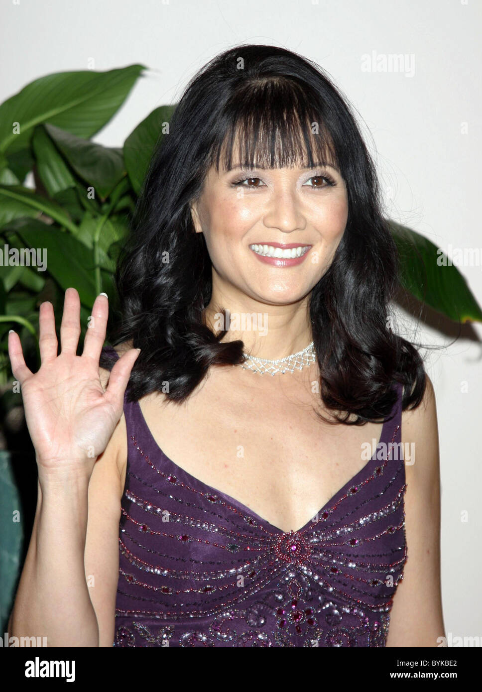 Suzanne Whang 7th Annual 'Love, Light and Laughter' Lupus Gala to ...