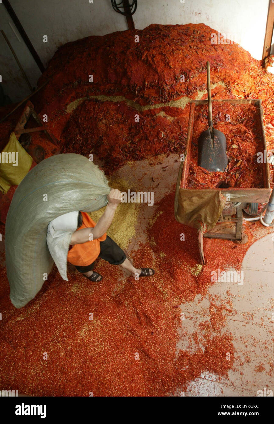 CAUGHT RED-HANDED A group of workers get hot and bothered as their ...