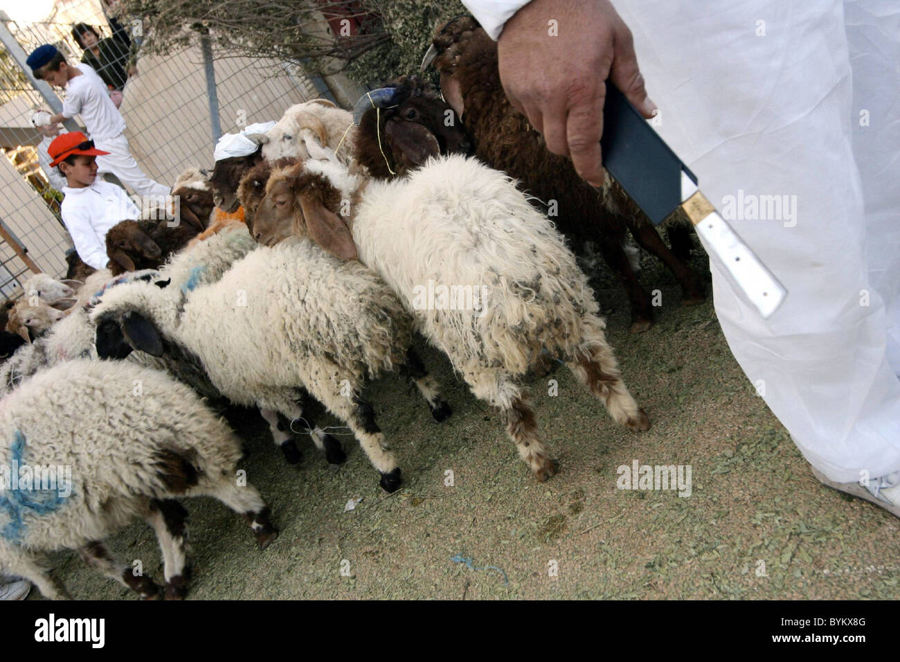 The Samaritans are an ethnic group of the Levant, they derive their ...