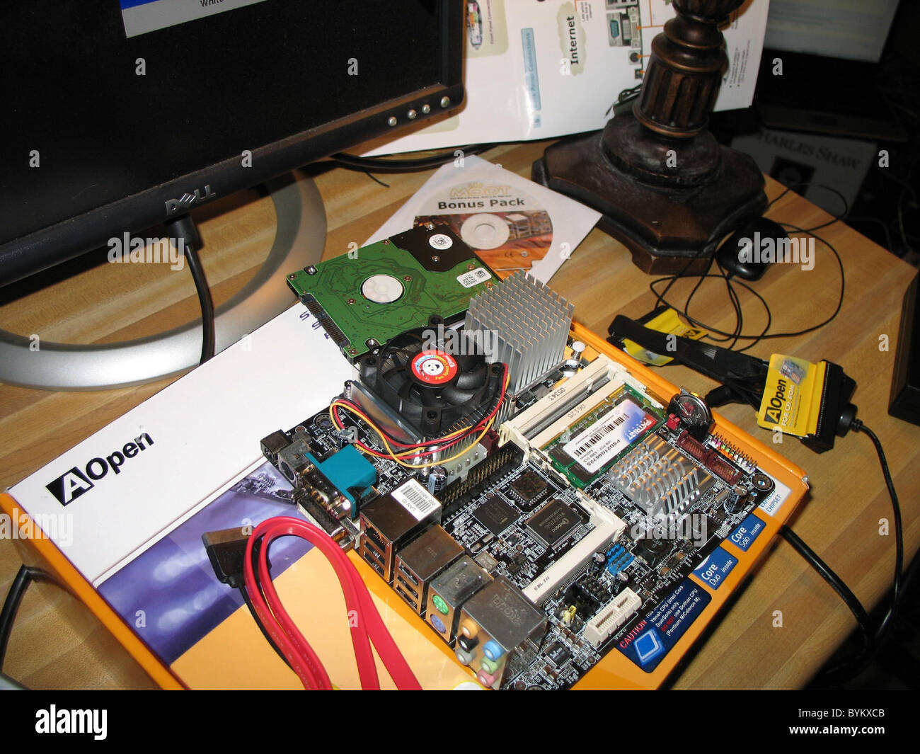 The Compubeaver! The worlds of IT and taxidermy collide with this ...