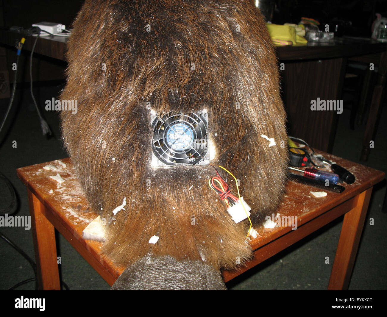 The Compubeaver! The worlds of IT and taxidermy collide with this ...