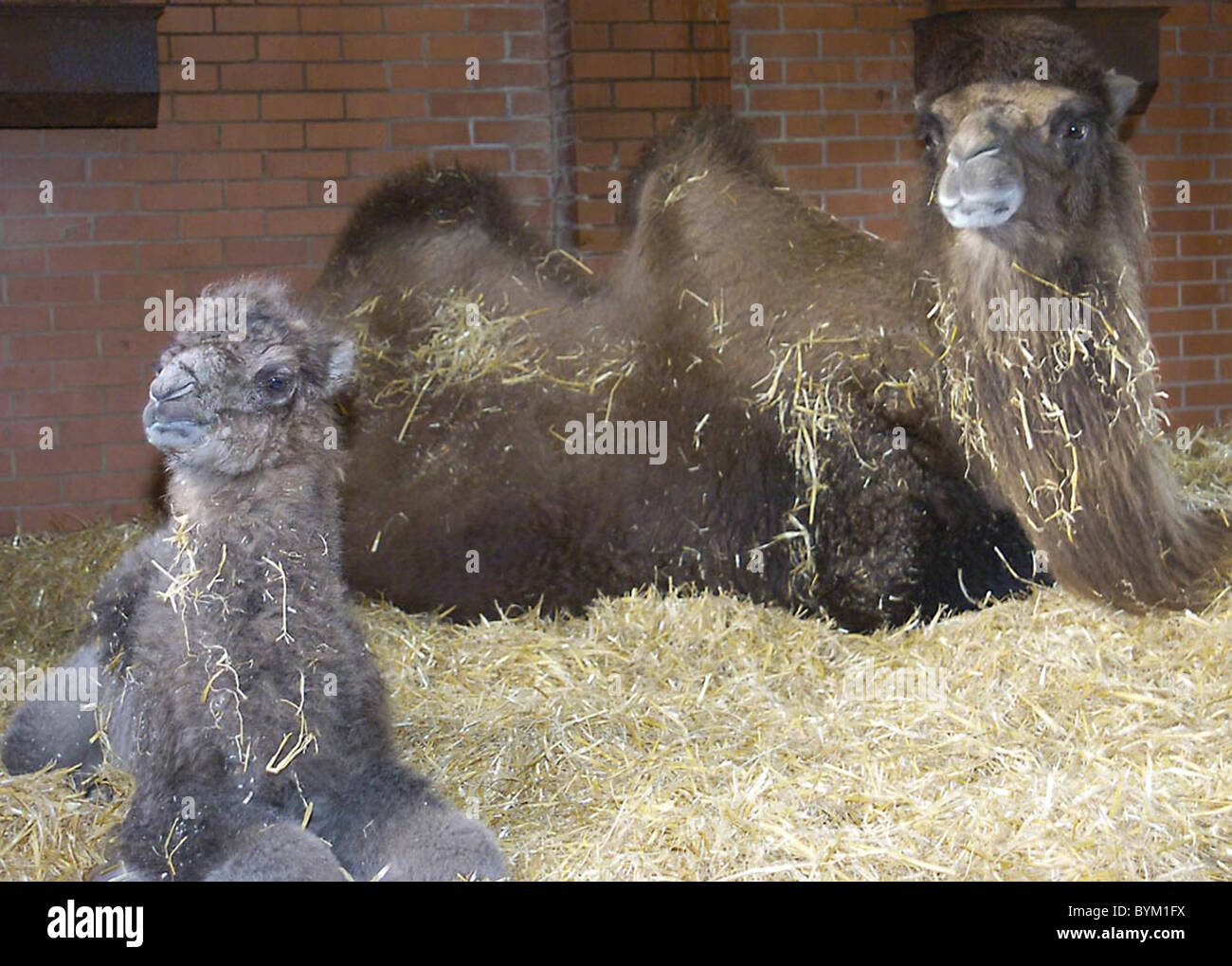 On 6th march hi-res stock photography and images - Alamy