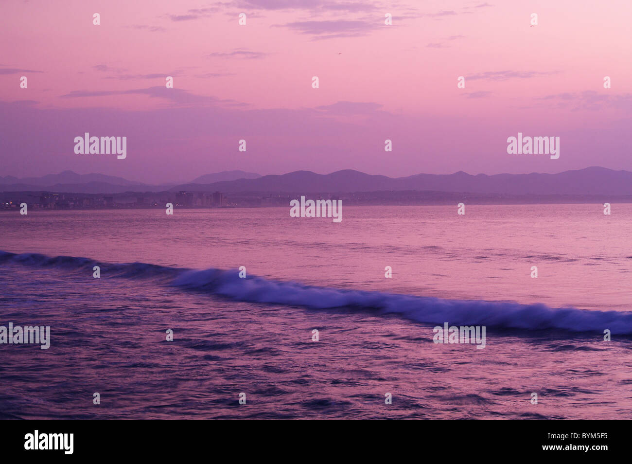 Omori High Resolution Stock Photography and Images - Alamy