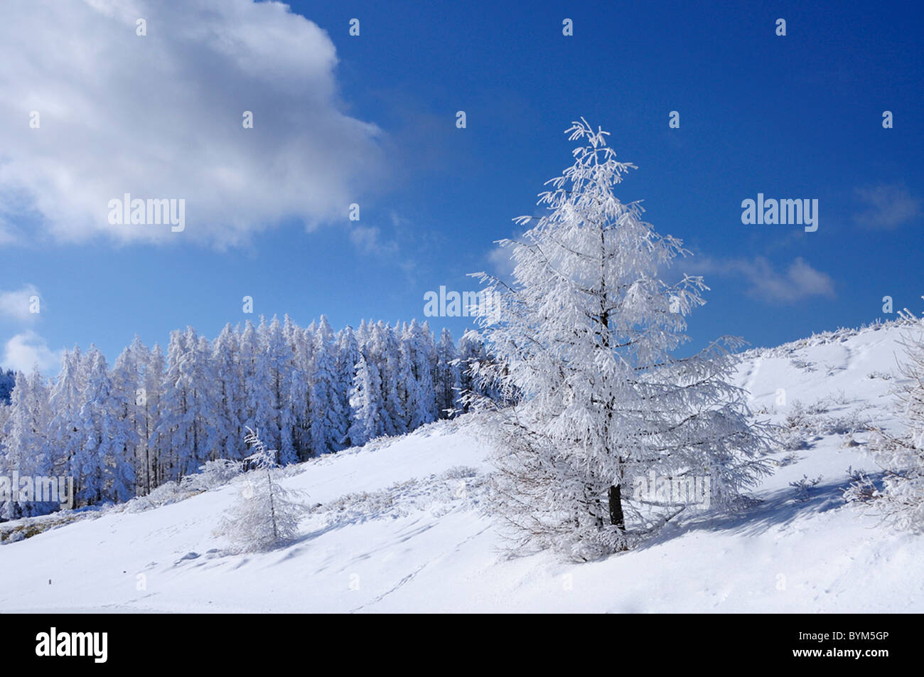 Objects and snow hi-res stock photography and images - Alamy