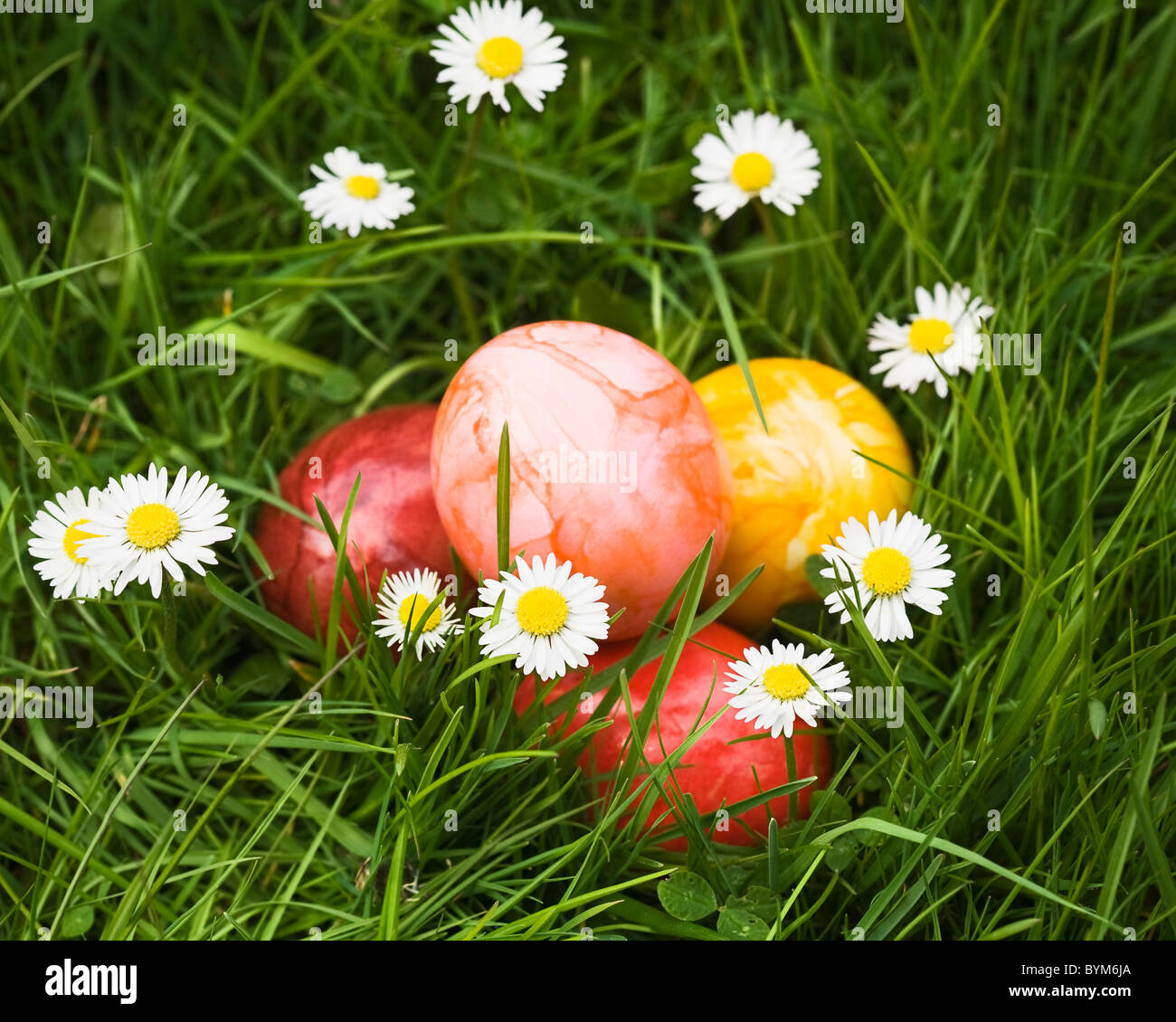Group easter eggs flowers hi-res stock photography and images - Alamy