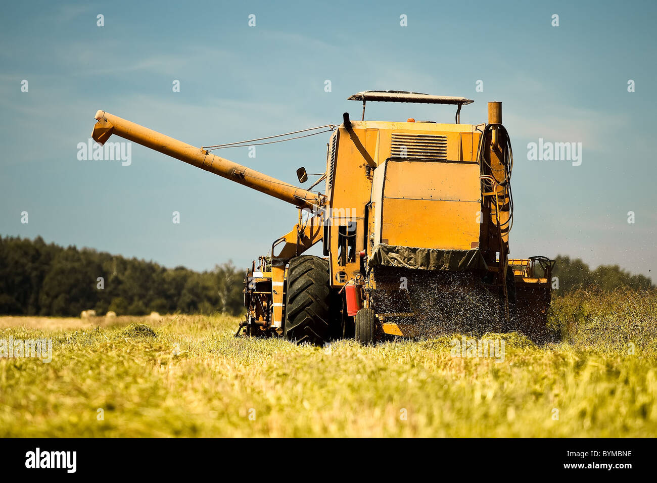 Yellow combine harvester working in a wheat field Stock Photo - Alamy