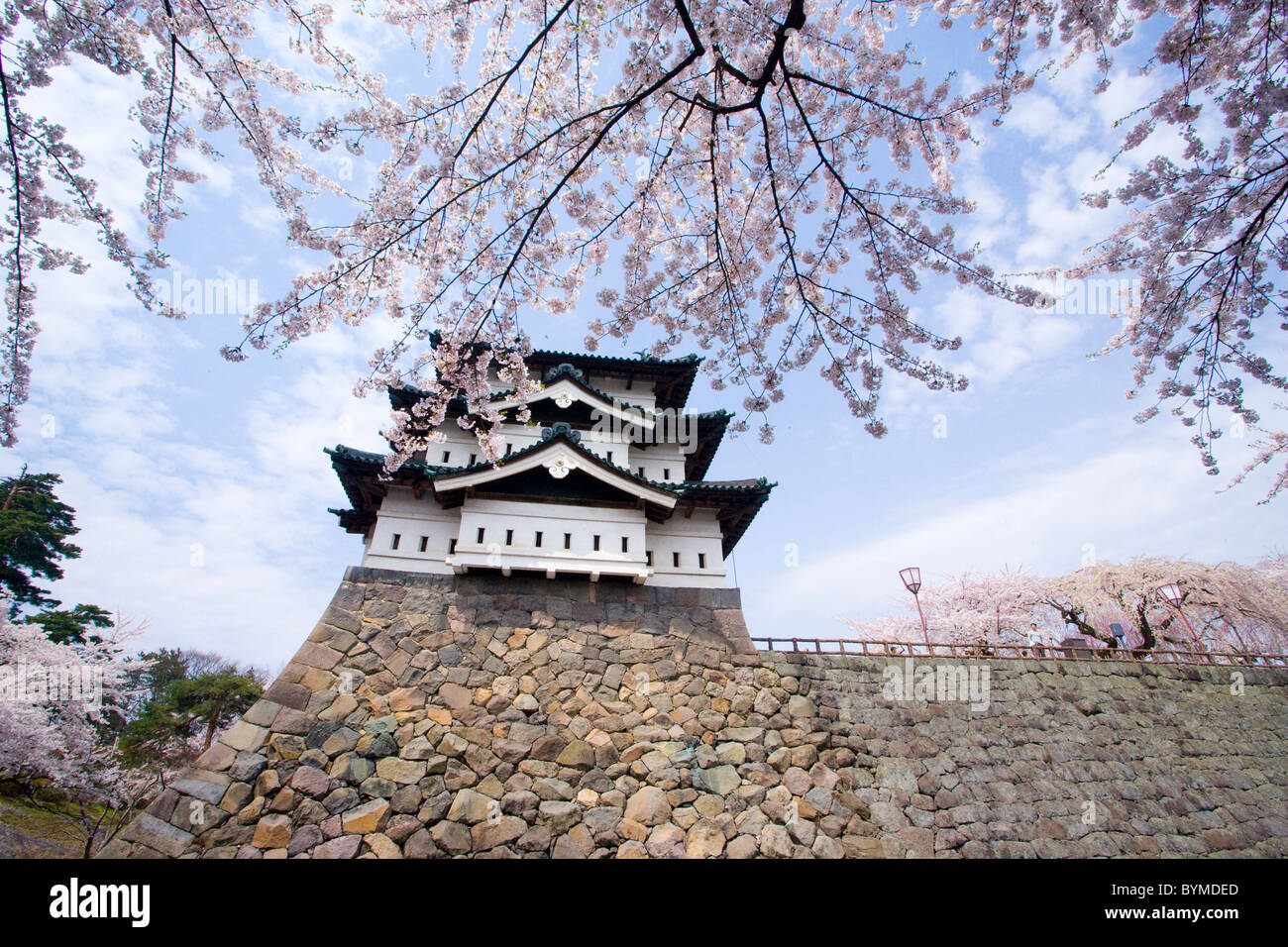 Cherry Blossom Trees and Hirosaki Castle Stock Photo - Alamy