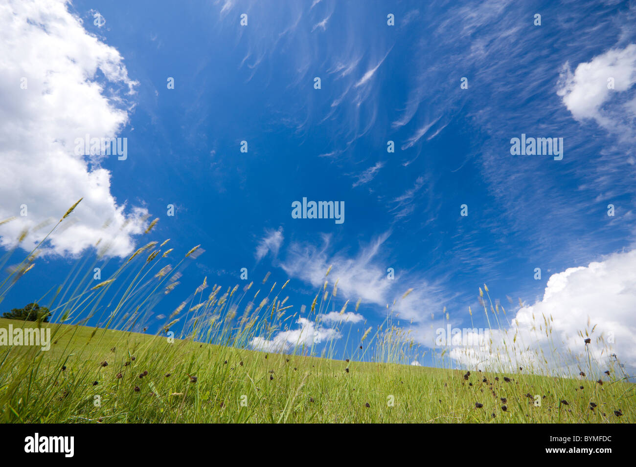 Blue Sky Over Field Stock Photo - Alamy