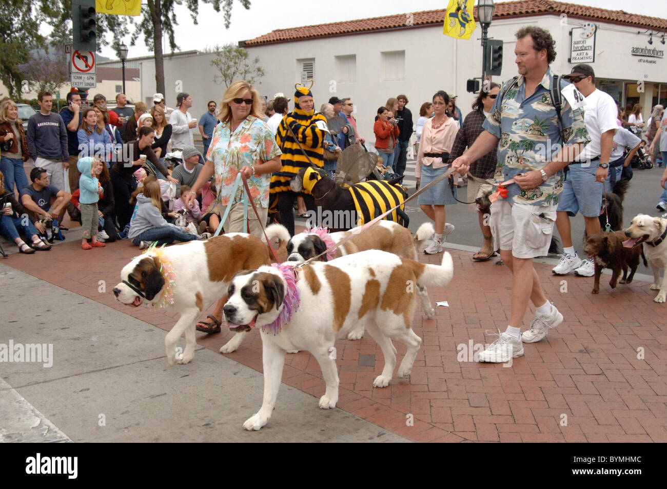 13th annual Big Dog Parade and Canine Festival Santa Barbara ...